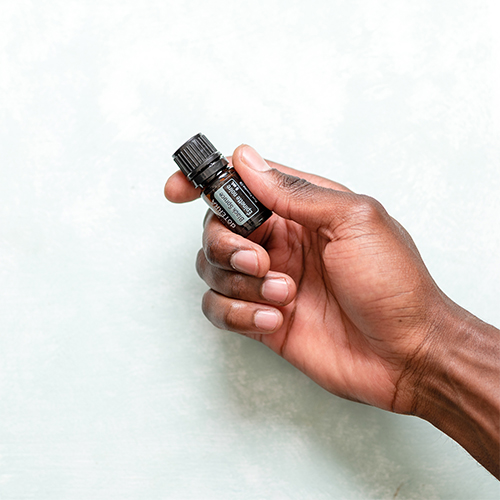 Black Spruce Essential Oil Bath and Body Oil | doTERRA Essential Oils