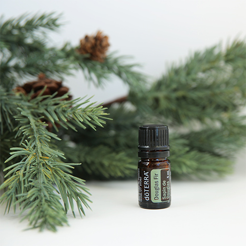 Holiday Room Spray with Frankincense and Douglas Fir Oil | doTERRA ...
