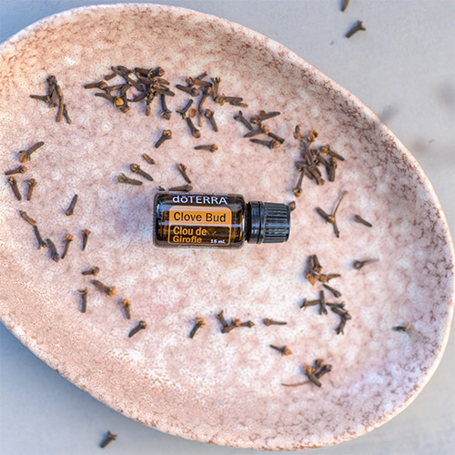 Clove Bud Oil Uses and Benefits | doTERRA Essential Oils