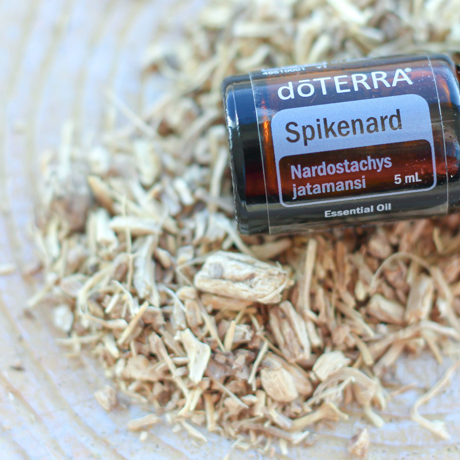 The Science of Spikenard | doTERRA Essential Oils