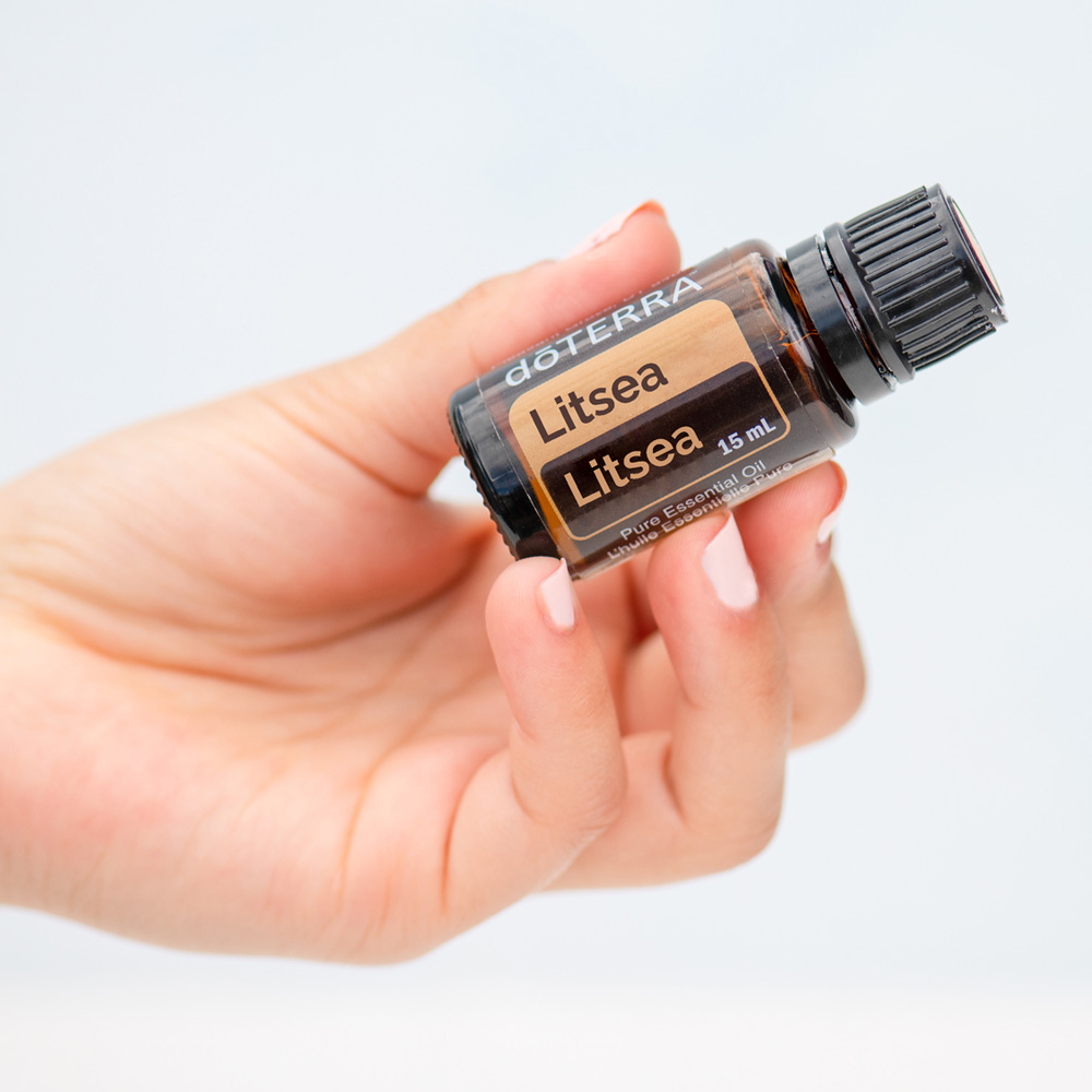 Litsea Oil Steamer | DIY | doTERRA Essential Oils