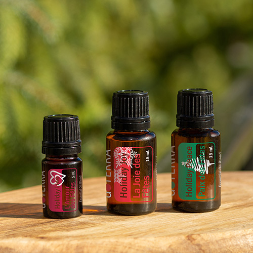 3 Holiday DIYs with Holiday Joy, Holiday Peace, and Holiday Love ...