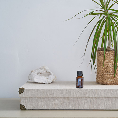 Foot Bath with Japanese Peppermint Essential Oil | doTERRA Essential Oils