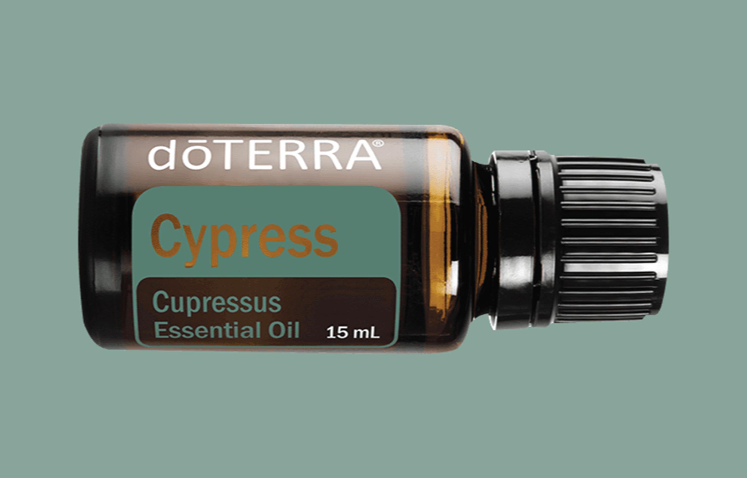 Cypress Essential Oil Benefits Doterra at Micheal Weston blog