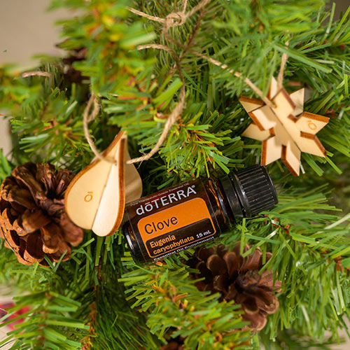 Episode 270: Holiday Atmospheres and a Look at the History of Clove ...