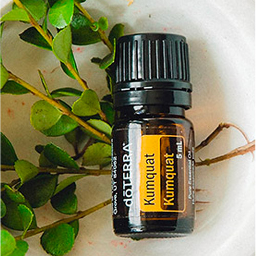 Kumquat Antioxidants at Amanda Moretz blog