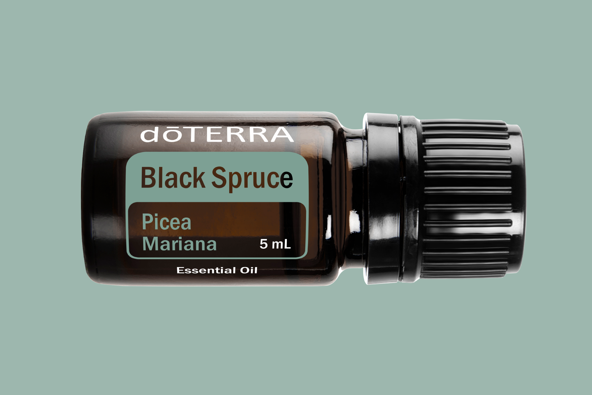 Black Spruce Oil | doTERRA Essential Oils